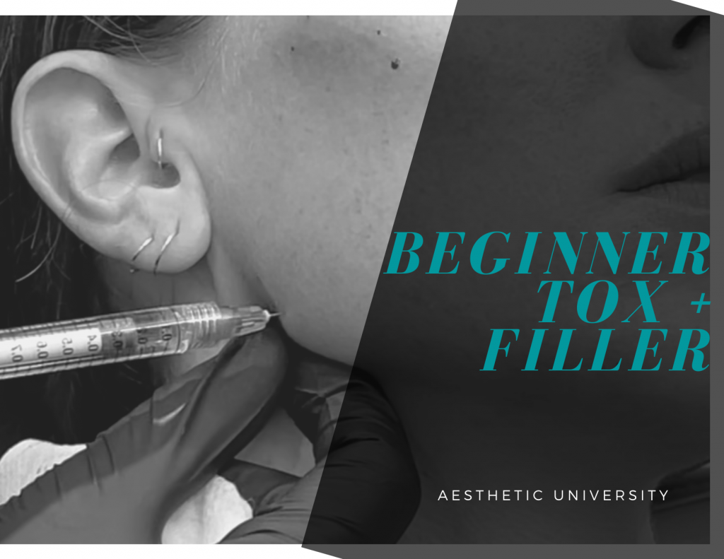 Beginner Courses - Aesthetic University
